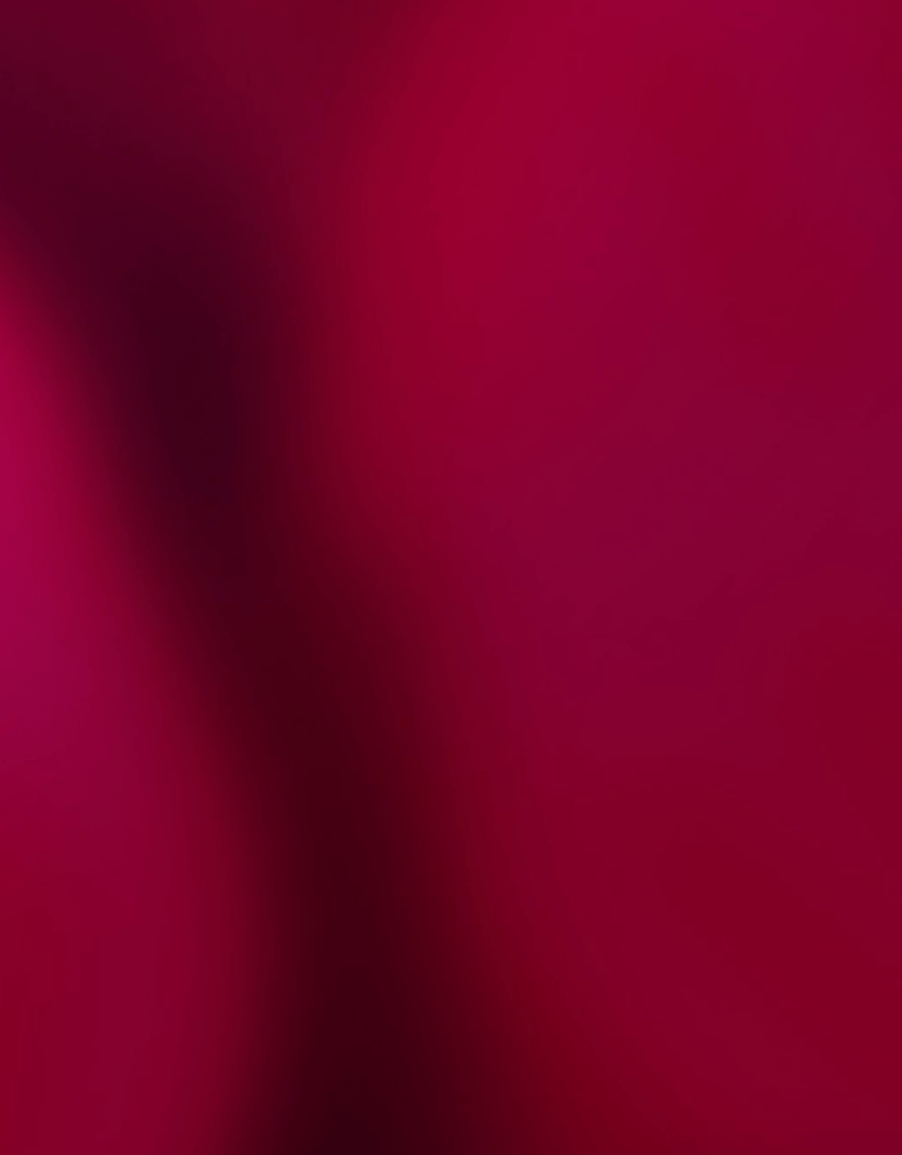 Portfolio: Beetroot AG